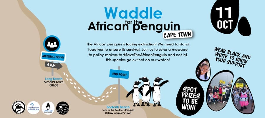 Get a Head Start on the Top Running Races in Cape Town - Whats on in ...